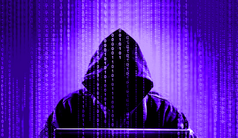 Elementus | The Data-driven Blockchain Intelligence Platform